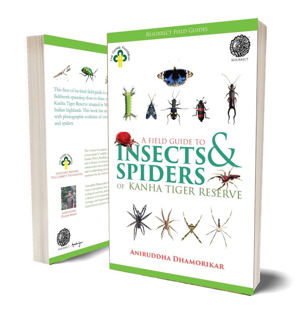 A Field Guide to Insects & Spiders of Kanha - Resurrect Books